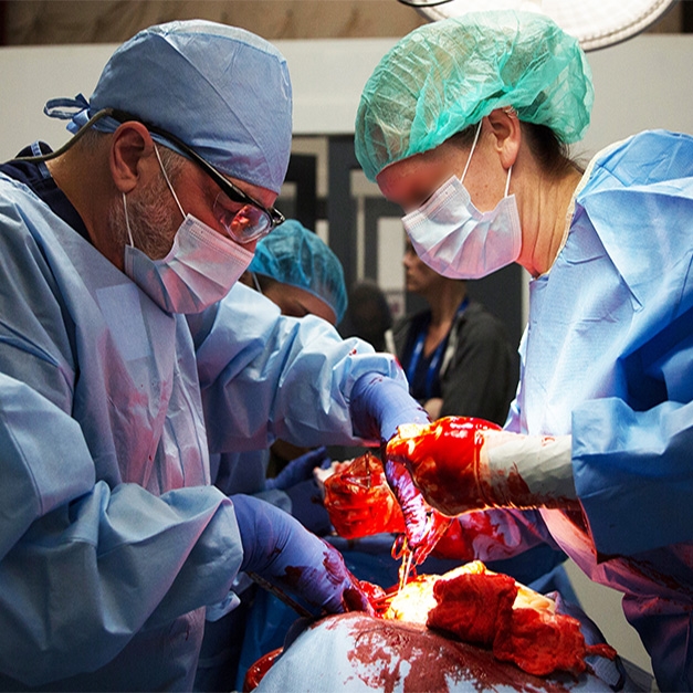 Open Surgical Simulation System (OS3) | STOPS Medical